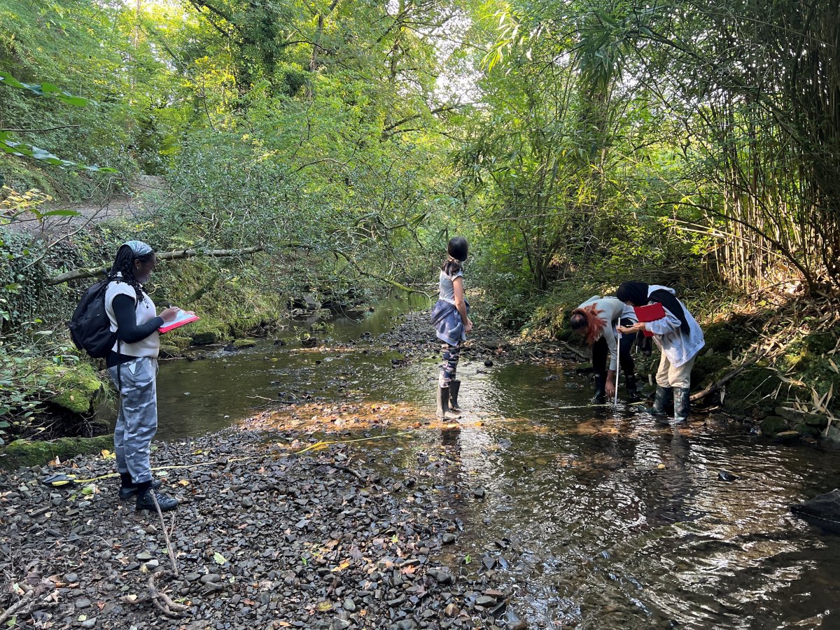 R16 Geography Field Trip to the Gower | News | St John's College Cardiff