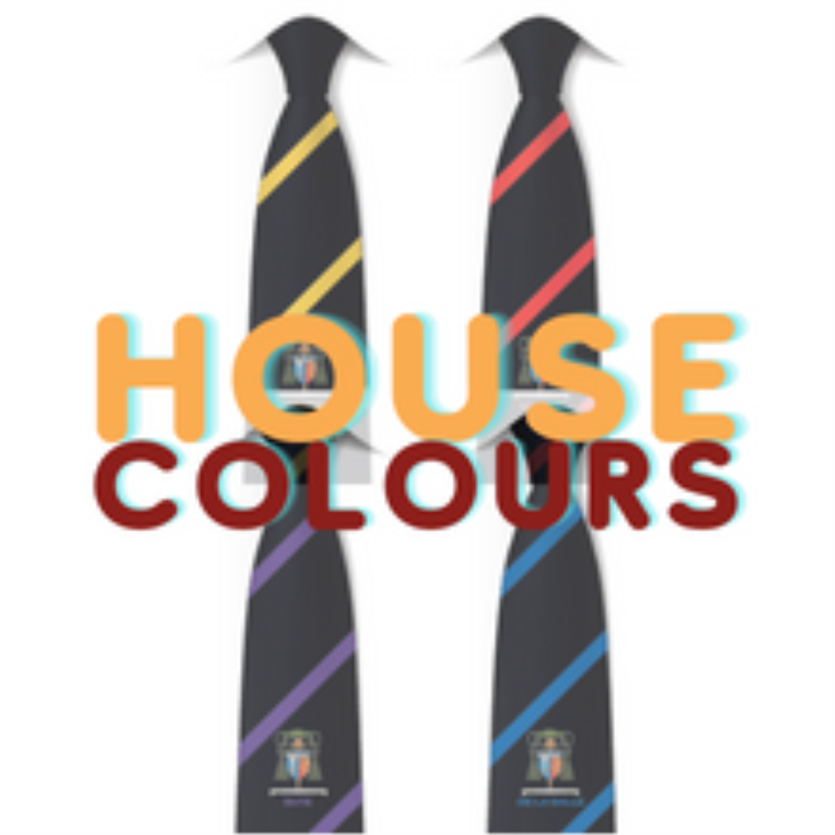 Senior House Colours | News | St John's College Cardiff