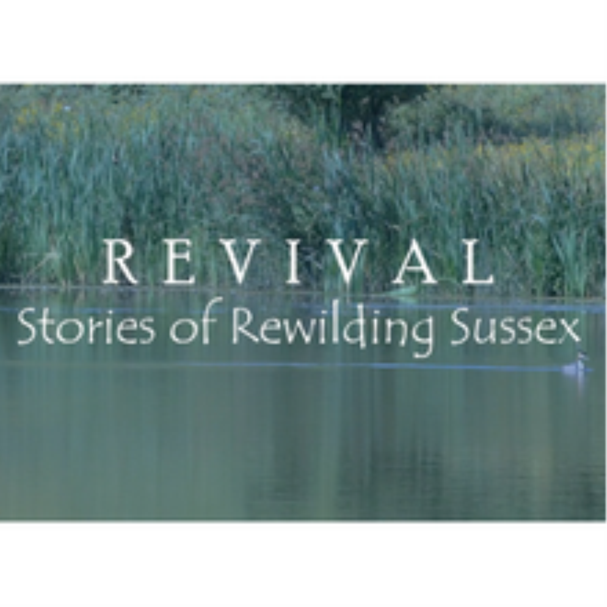 Climate Change Documentary | News | St John's College Cardiff